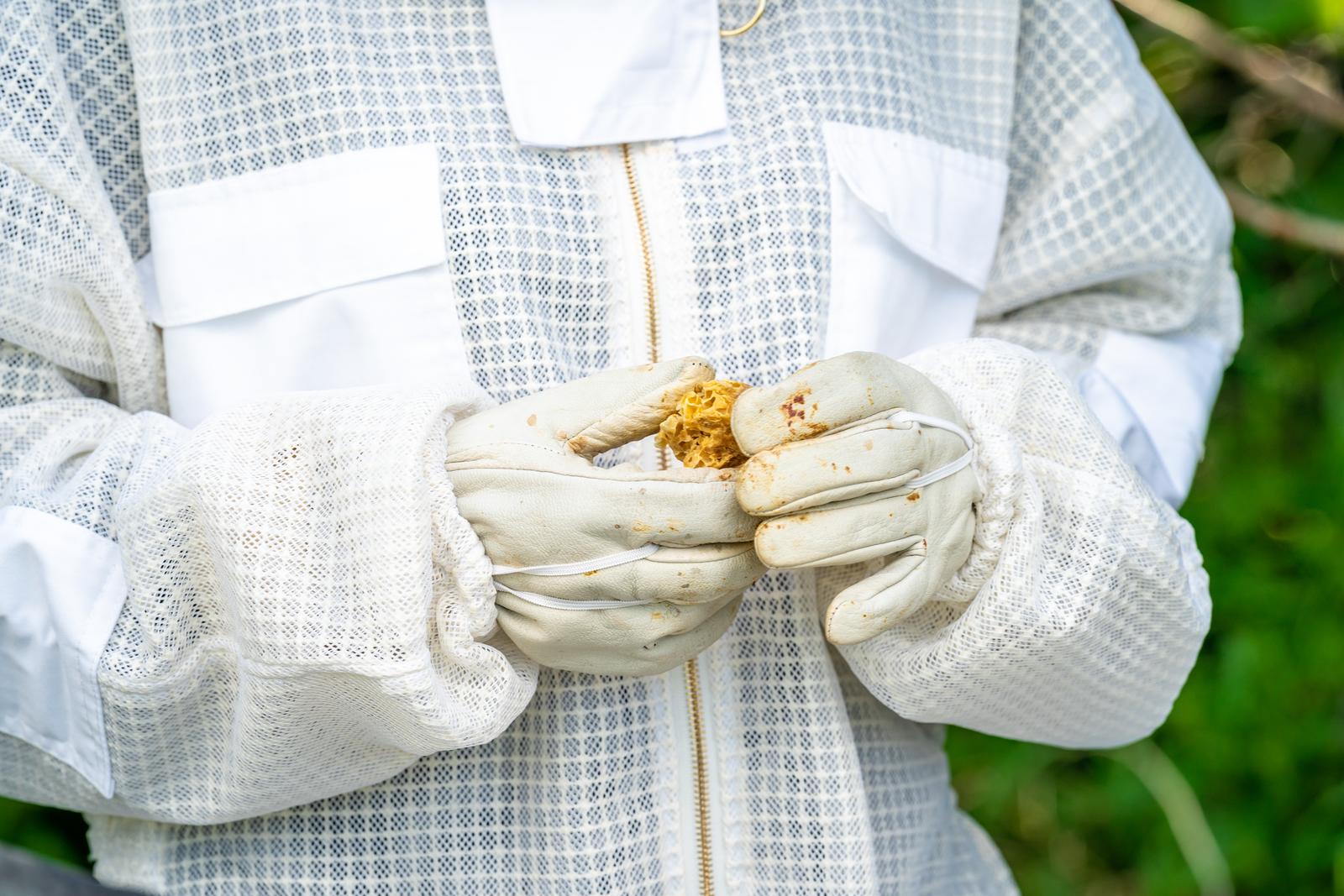 Beekeeping suits: Purpose, Types, Cost and Which is the Best? - All ...